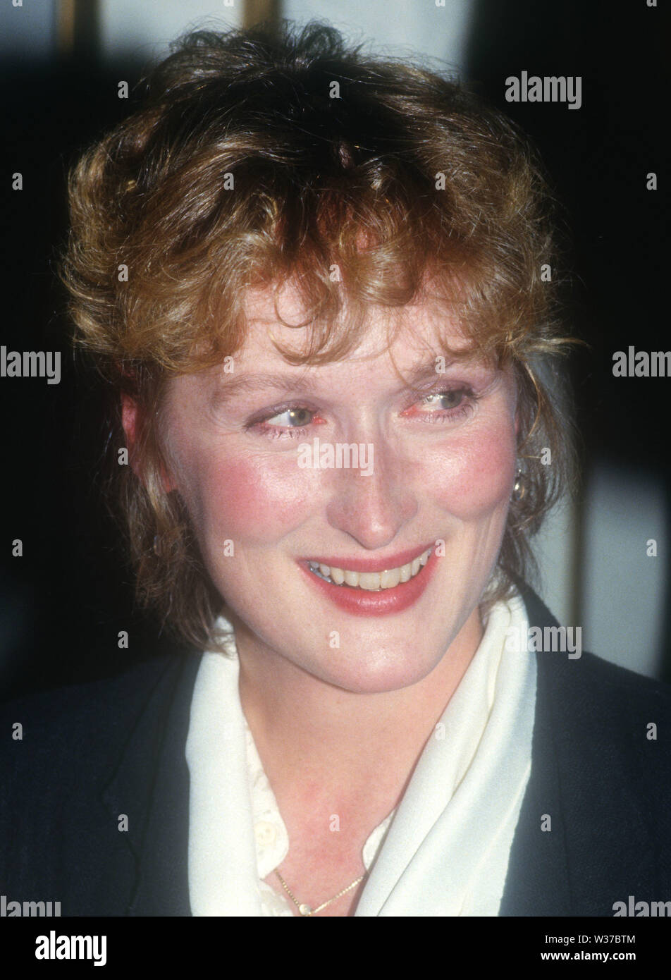 Meryl Streep 1980s Photo By John Barrett/CelebrityArchaeology.com Photo ...