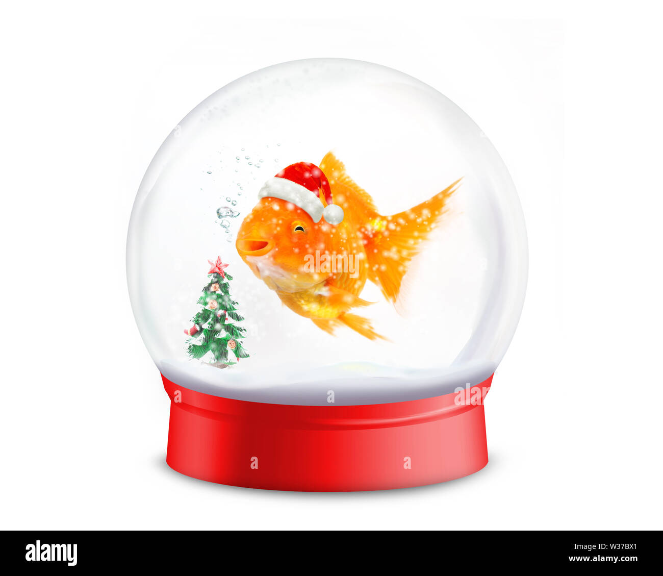 Smiley goldfish wearing a santa hat with christmas tree in red snowball ...