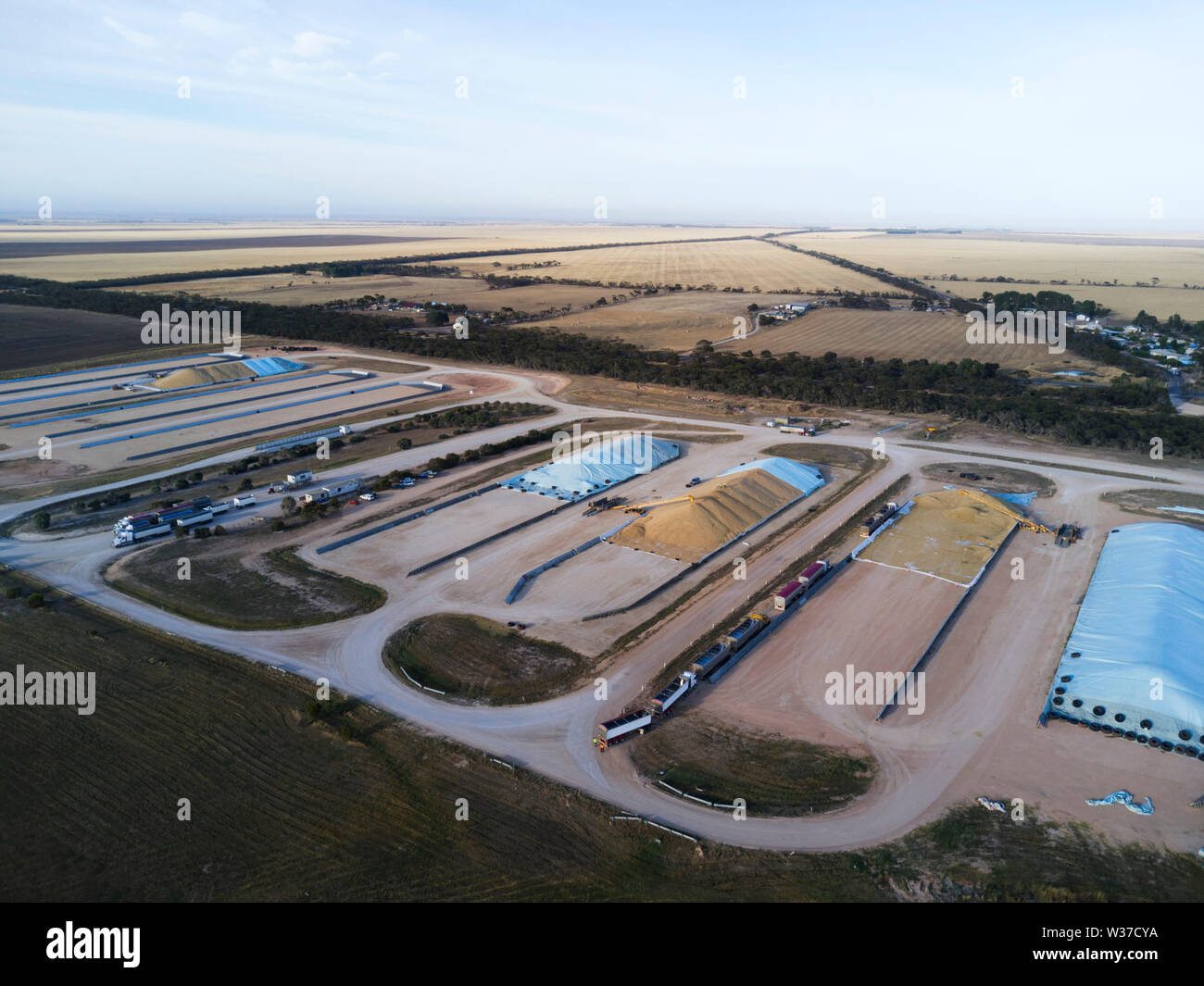 Aerial of trucks being loaded with barley/wheat from a grain bunker ...