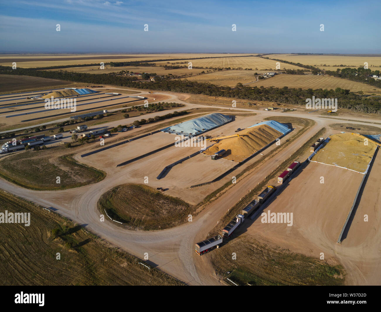 Aerial of trucks being loaded with barley/wheat from a grain bunker ...