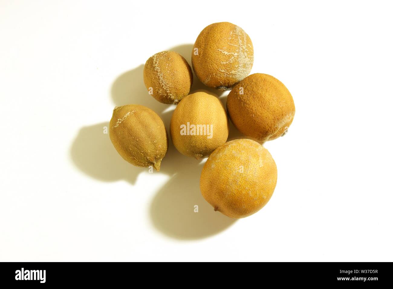 Top-down view of six aged and stale yellow lemons isolated on white ...
