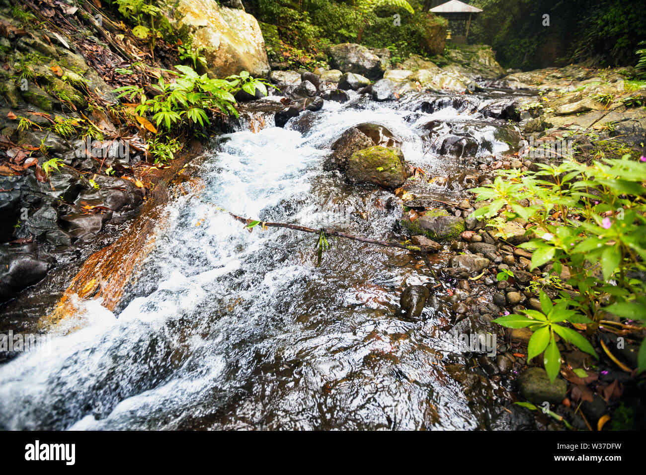 Stream flowing over rocks hi-res stock photography and images - Alamy