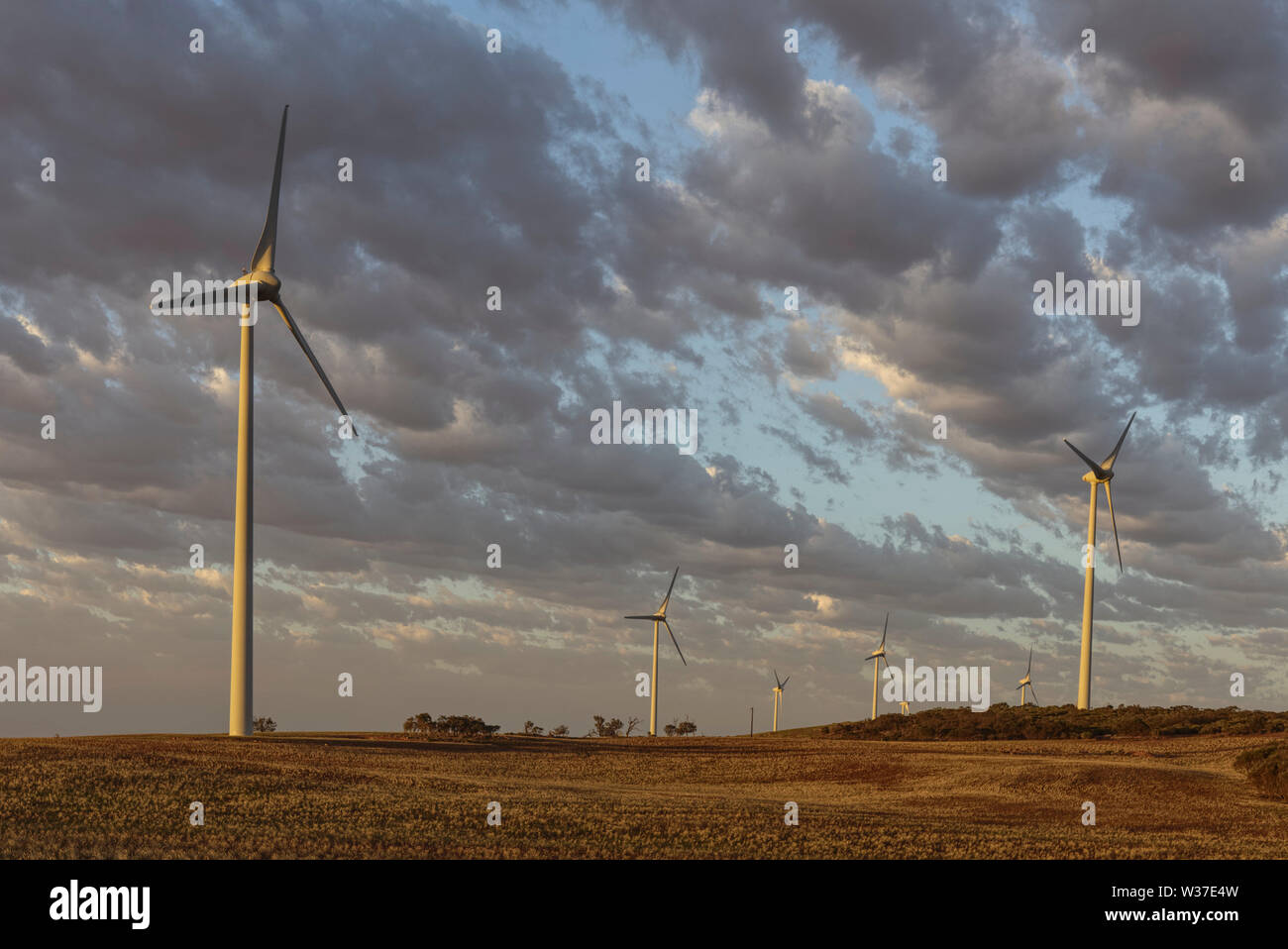 Generating electricity at the Mt Millar Wind Farm near Cleve Eyre ...