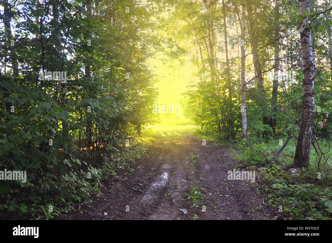 Rain off road hi-res stock photography and images - Alamy