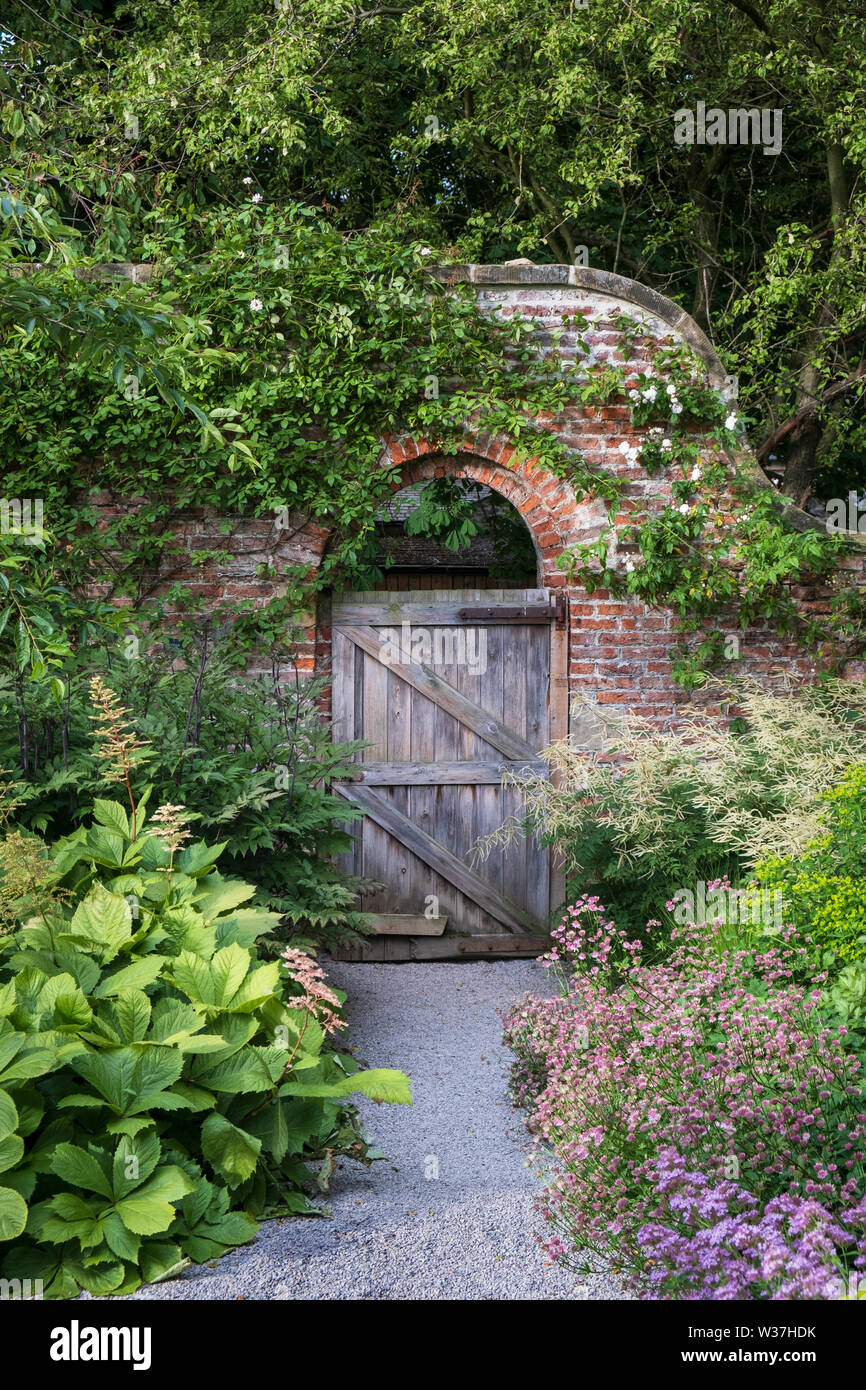 English country garden flower borders in the walled garden at Middleton ...