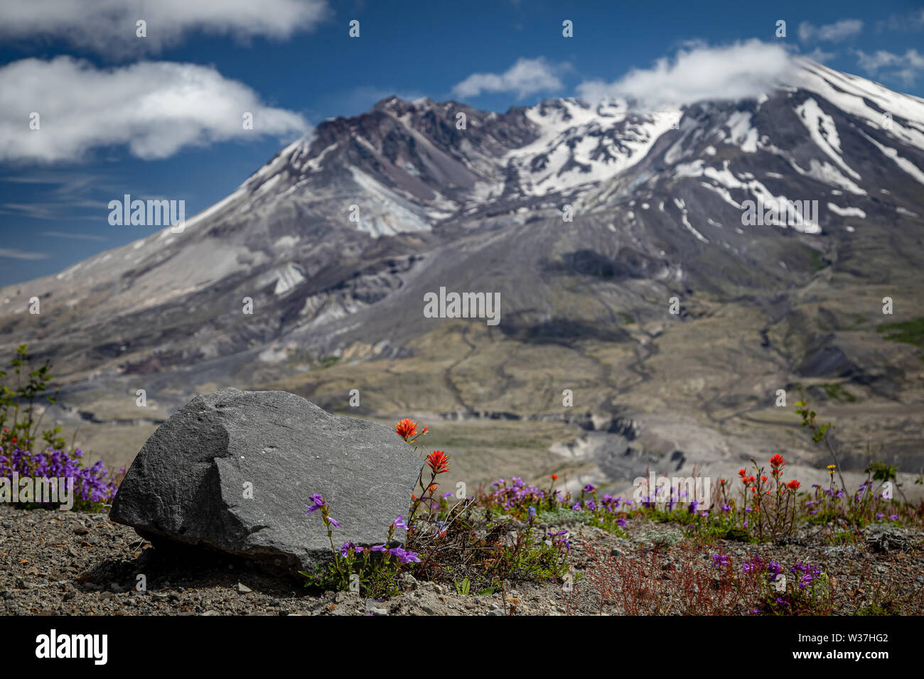 Mt St Helens Stock Photo - Alamy