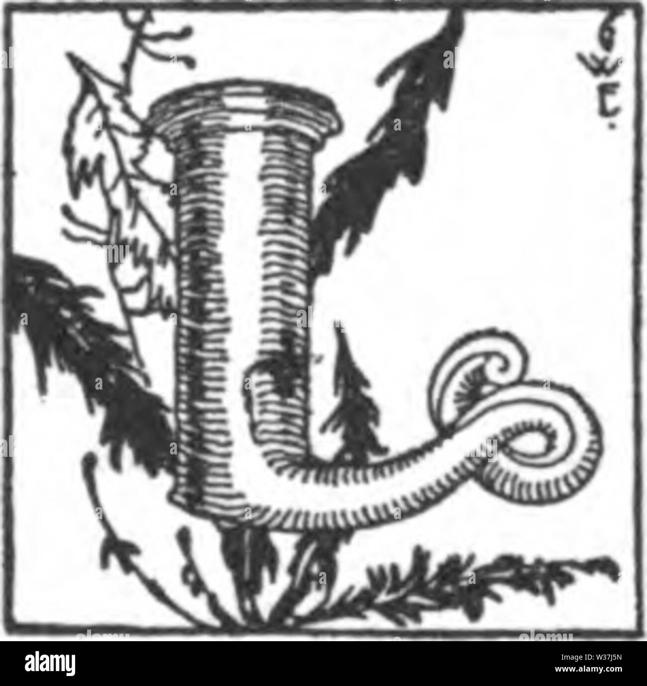 Initial letter l Black and White Stock Photos & Images - Alamy