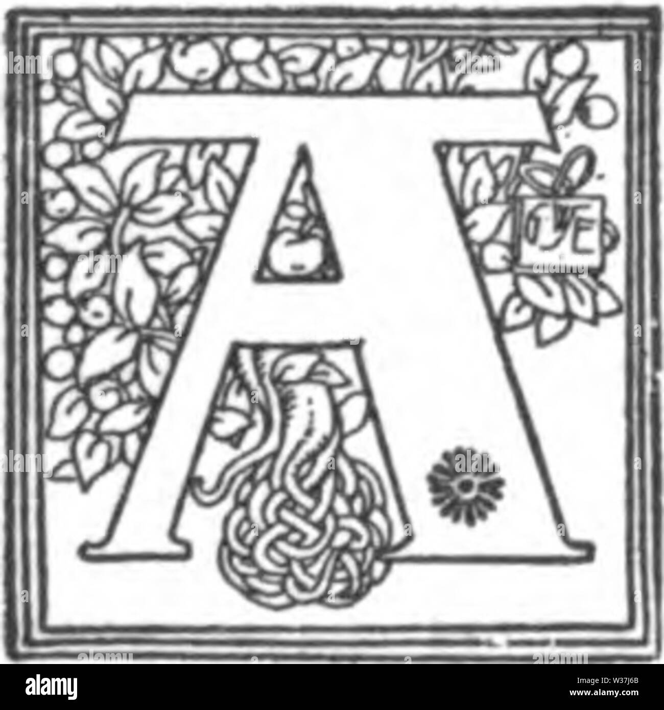 TTE initial A Stock Photo - Alamy