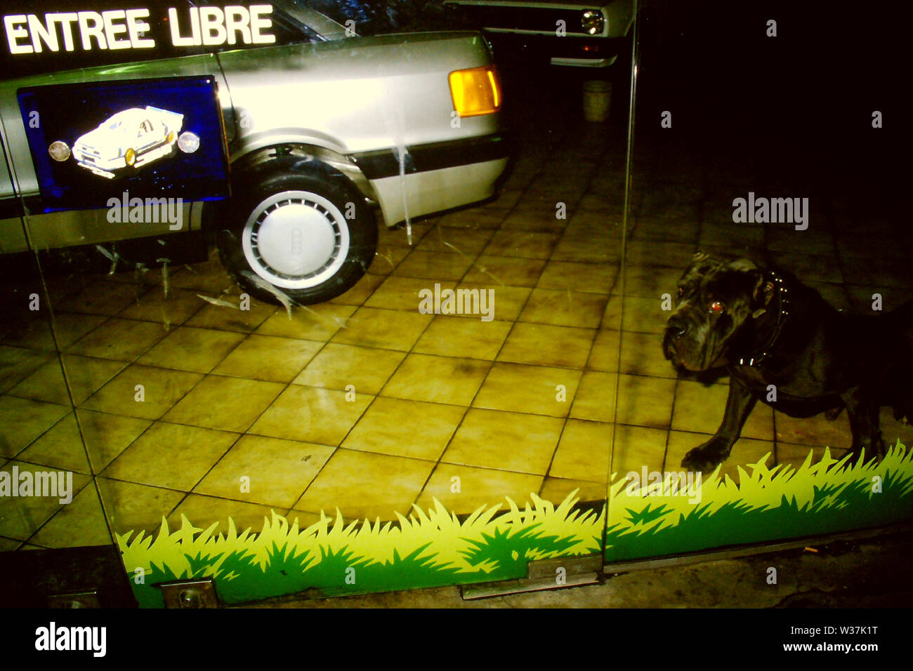 Mad killer dogs hi-res stock photography and images - Alamy