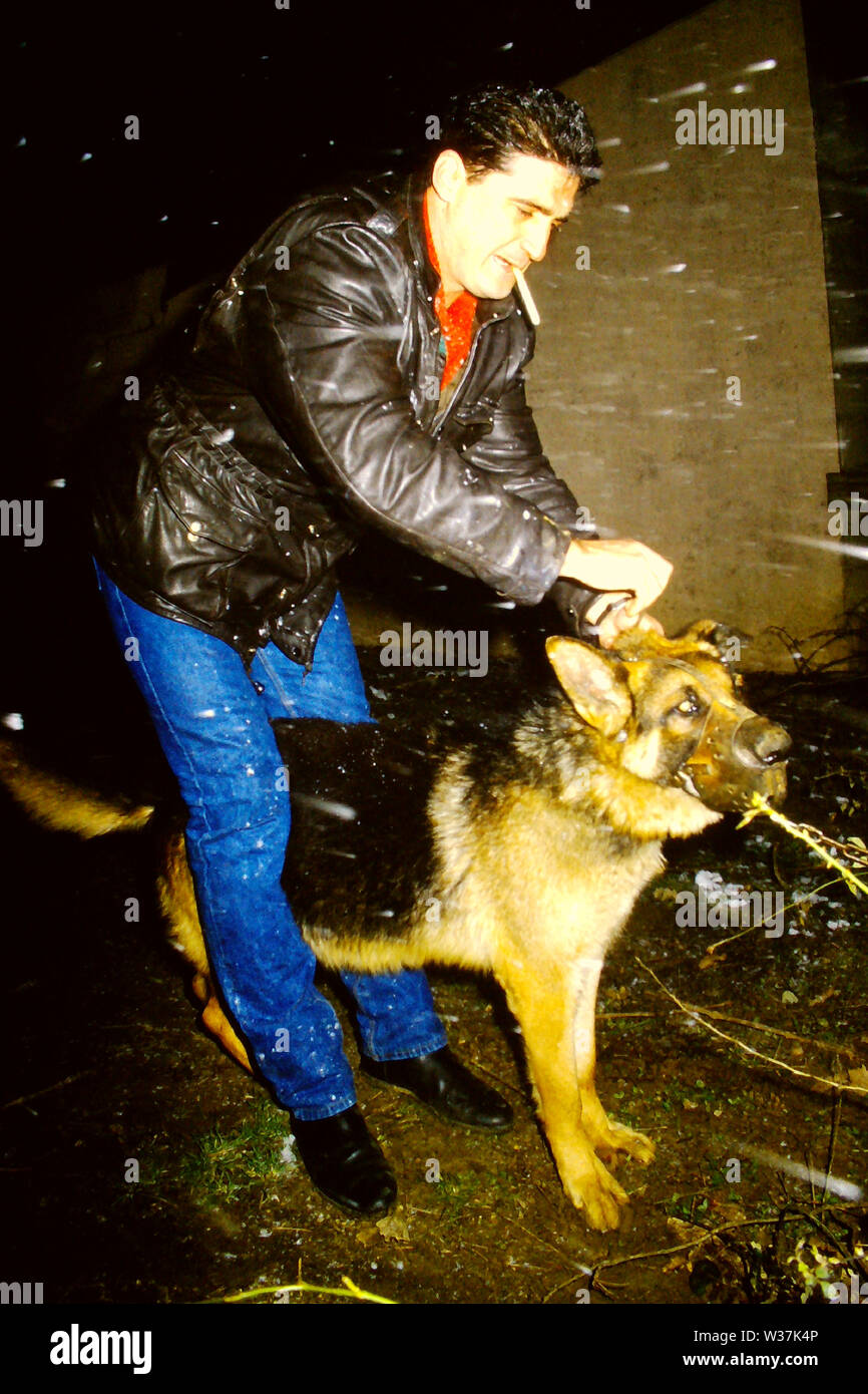 Mad killer dogs hi-res stock photography and images - Alamy