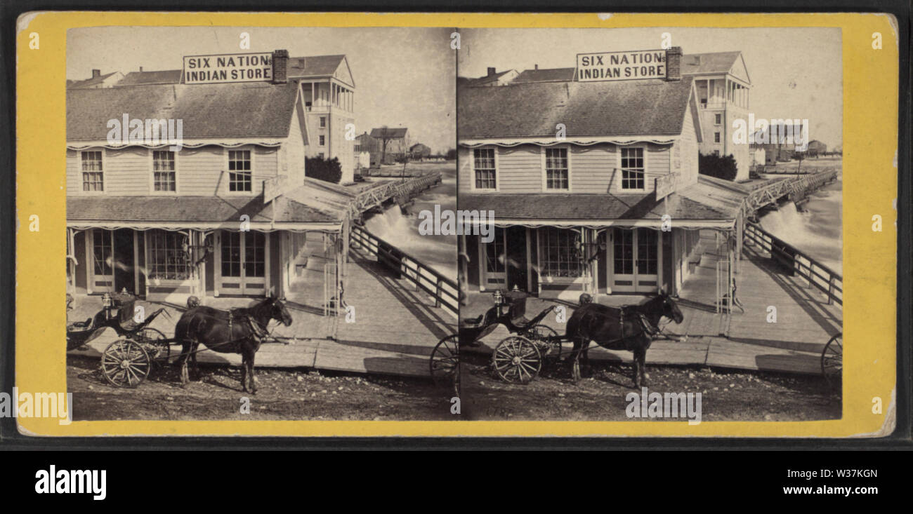 The Rapids, rear of the Cataract House, by E & HT Anthony (Firm) 2 ...