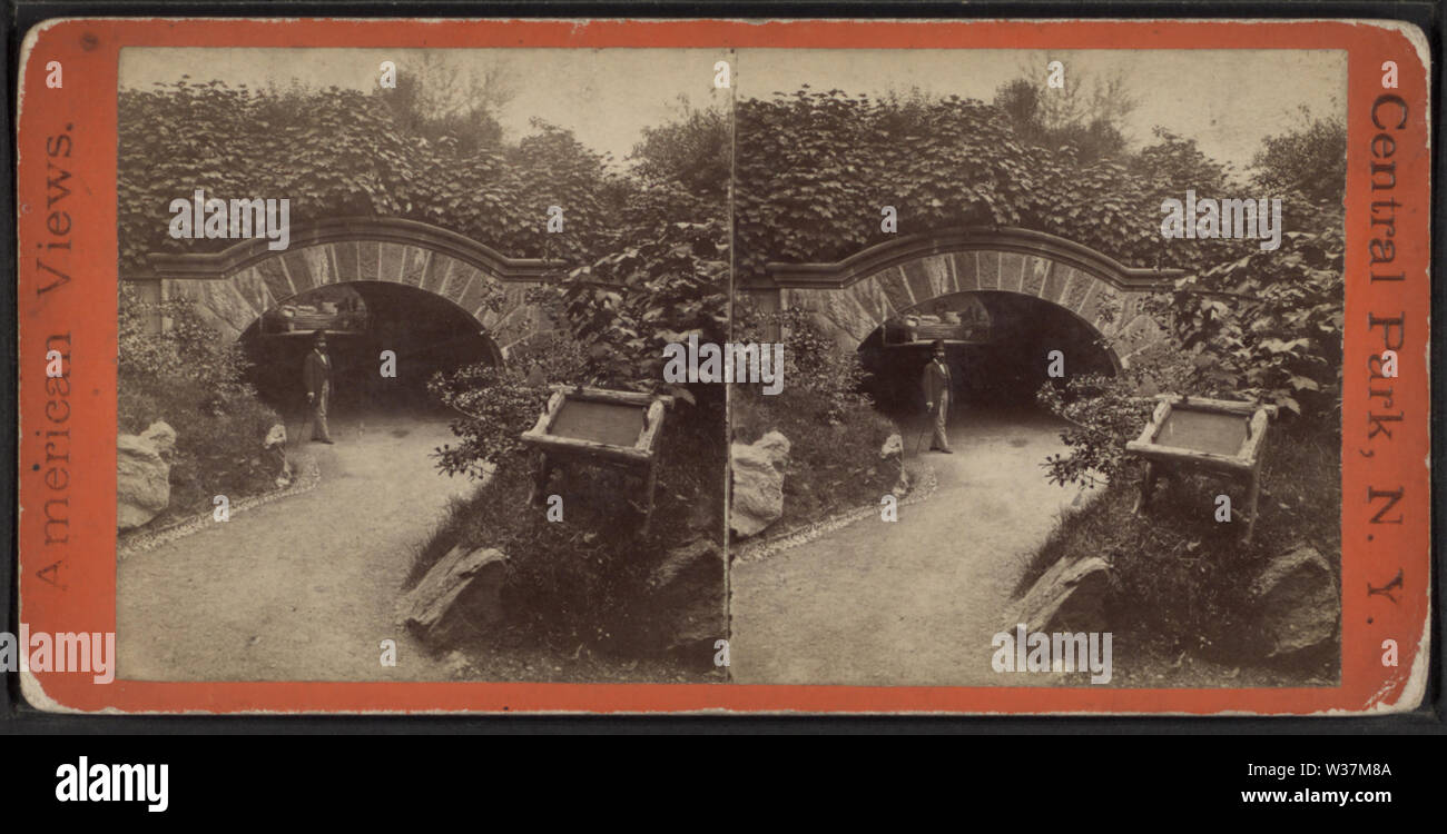 The Stone Bridge, near Mt St Vincent, by E & HT Anthony (Firm Stock ...
