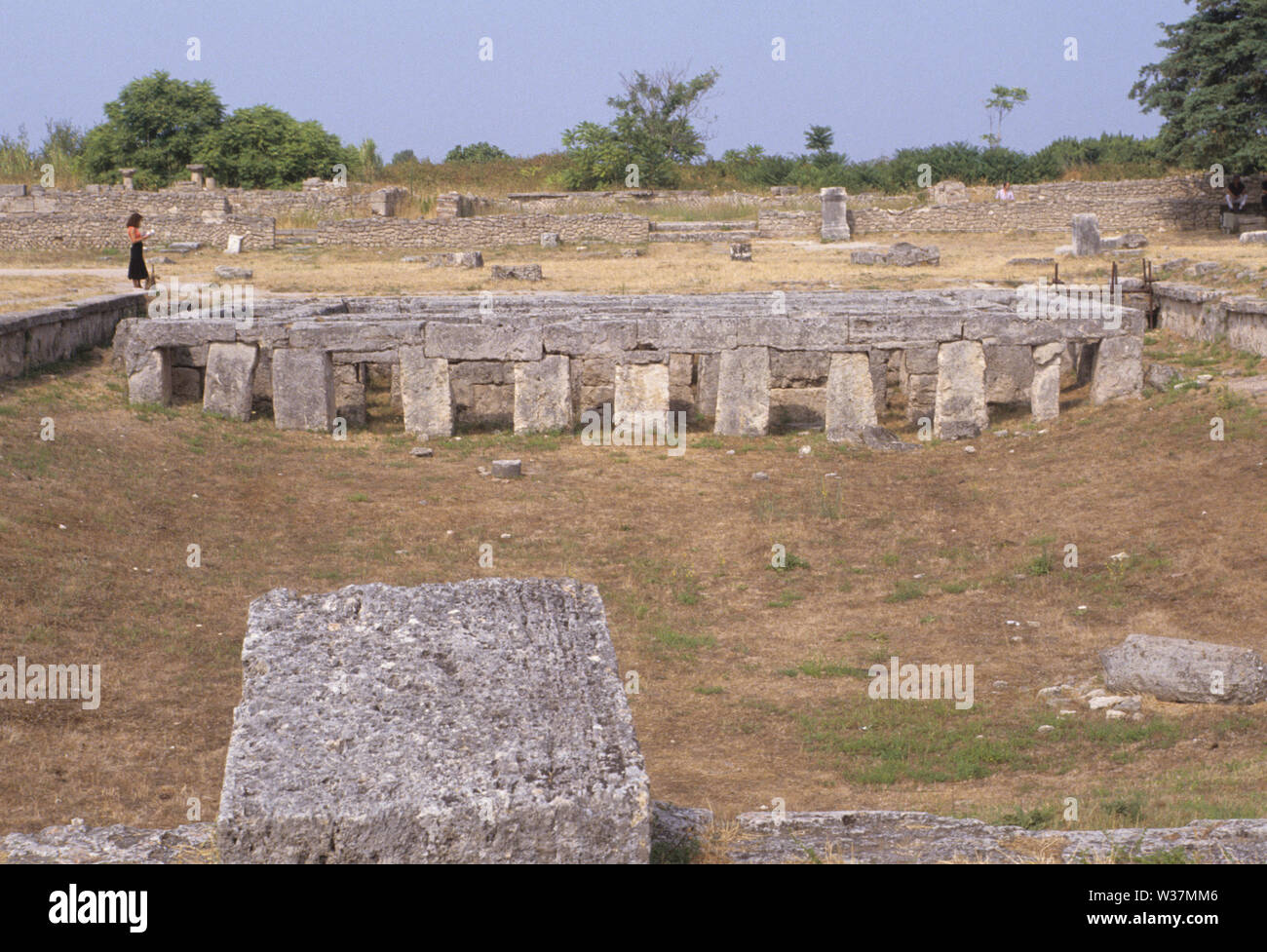 greek temple. paestum, salerno province, campania, italy Stock Photo ...