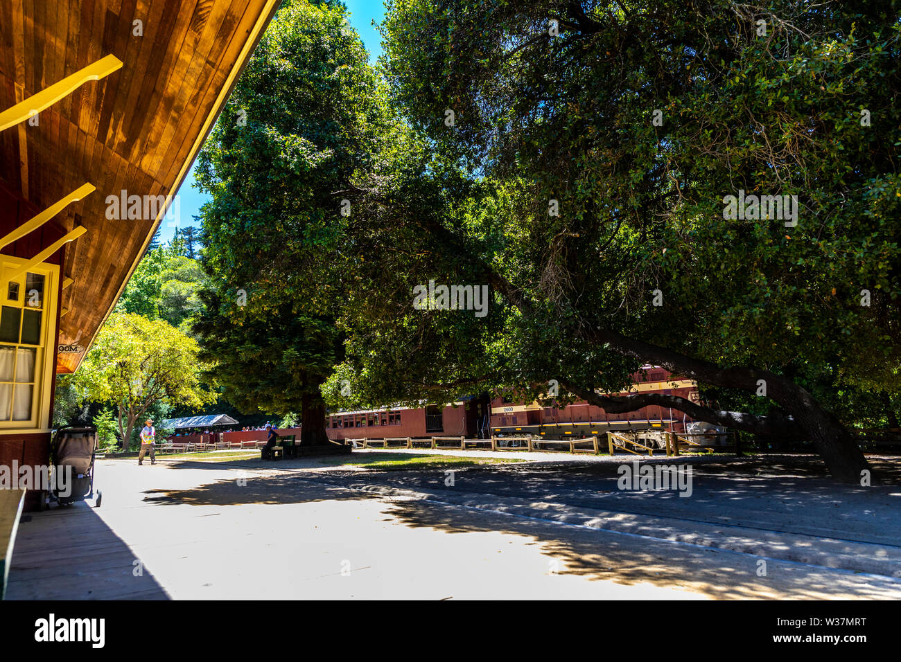 Roaring Camp Railroad High Resolution Stock Photography and Images - Alamy