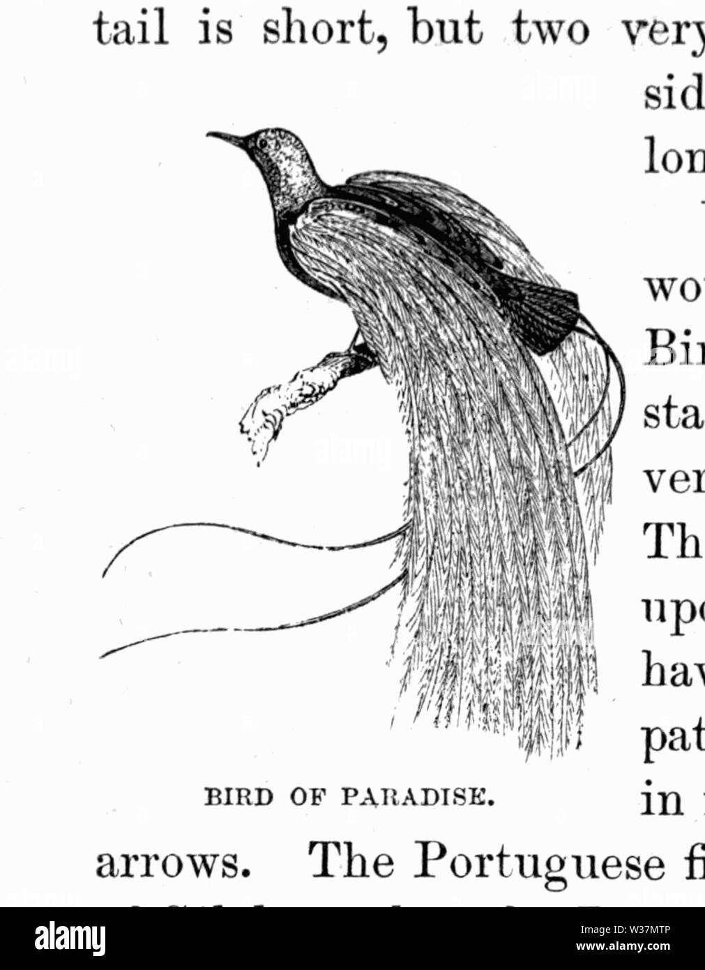 Weather world Cut Out Stock Images & Pictures - Alamy