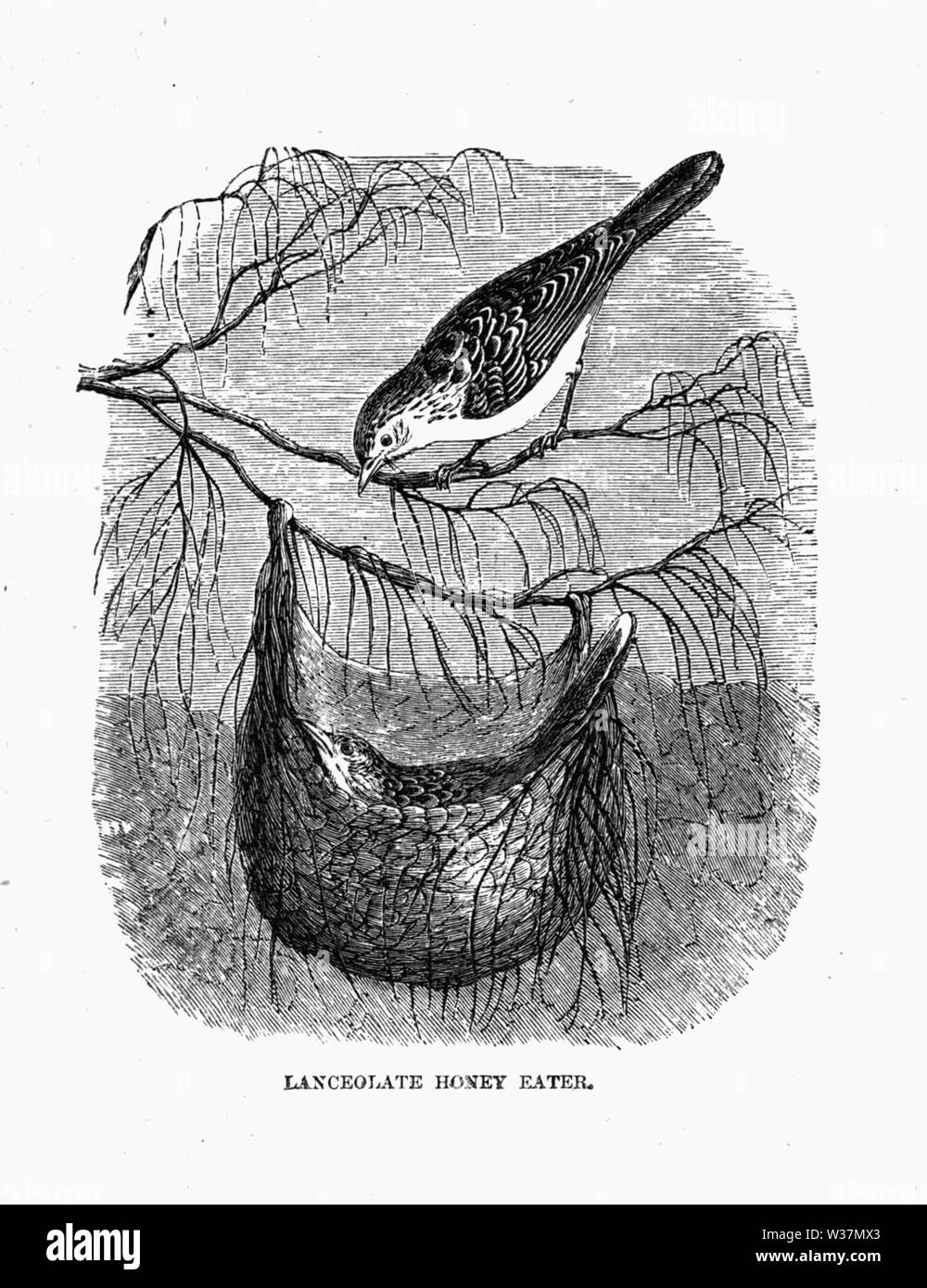 Temperature world Cut Out Stock Images & Pictures - Alamy