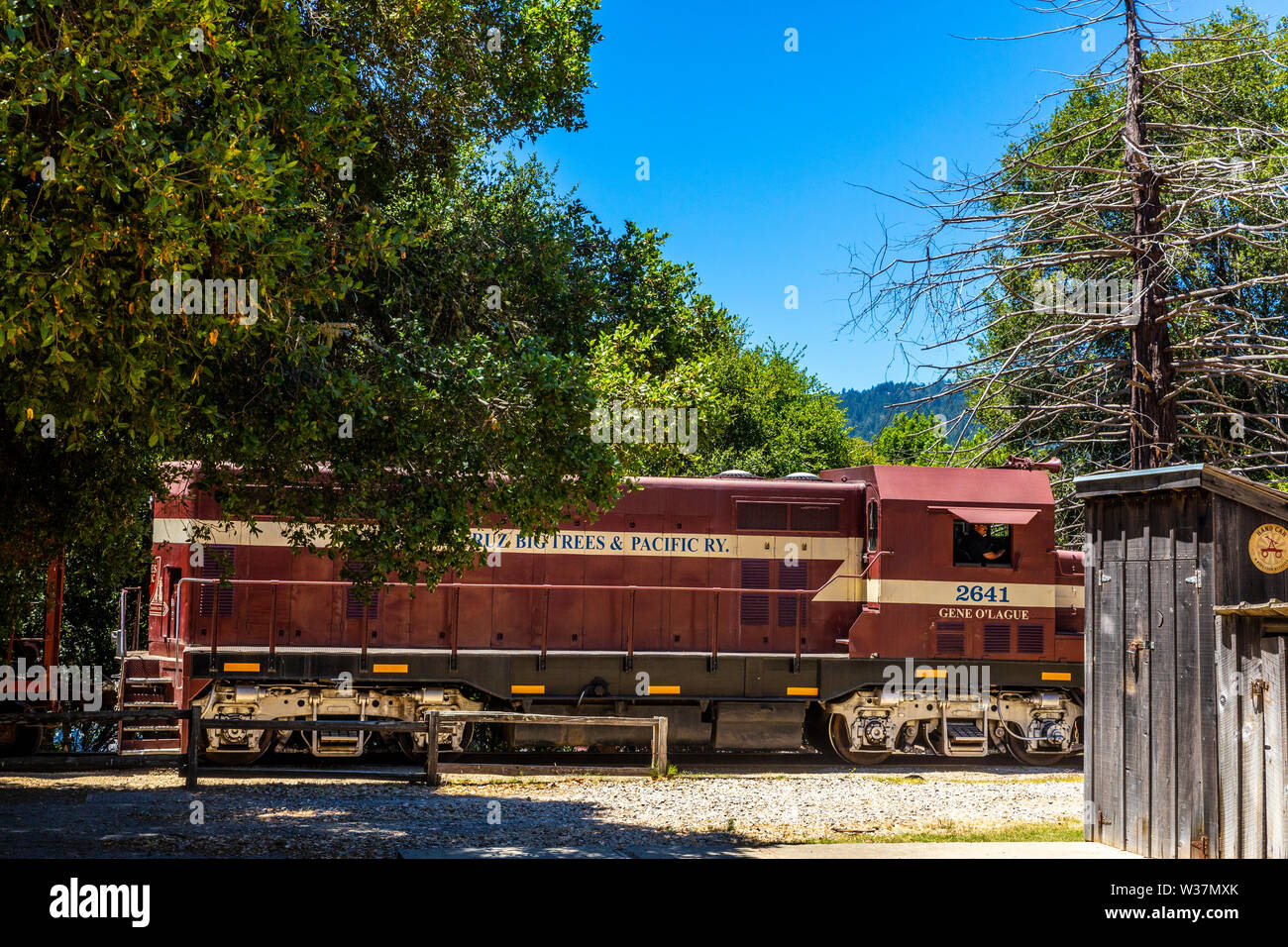 Roaring Camp and Big Trees Railroad in Felton California USA Stock ...