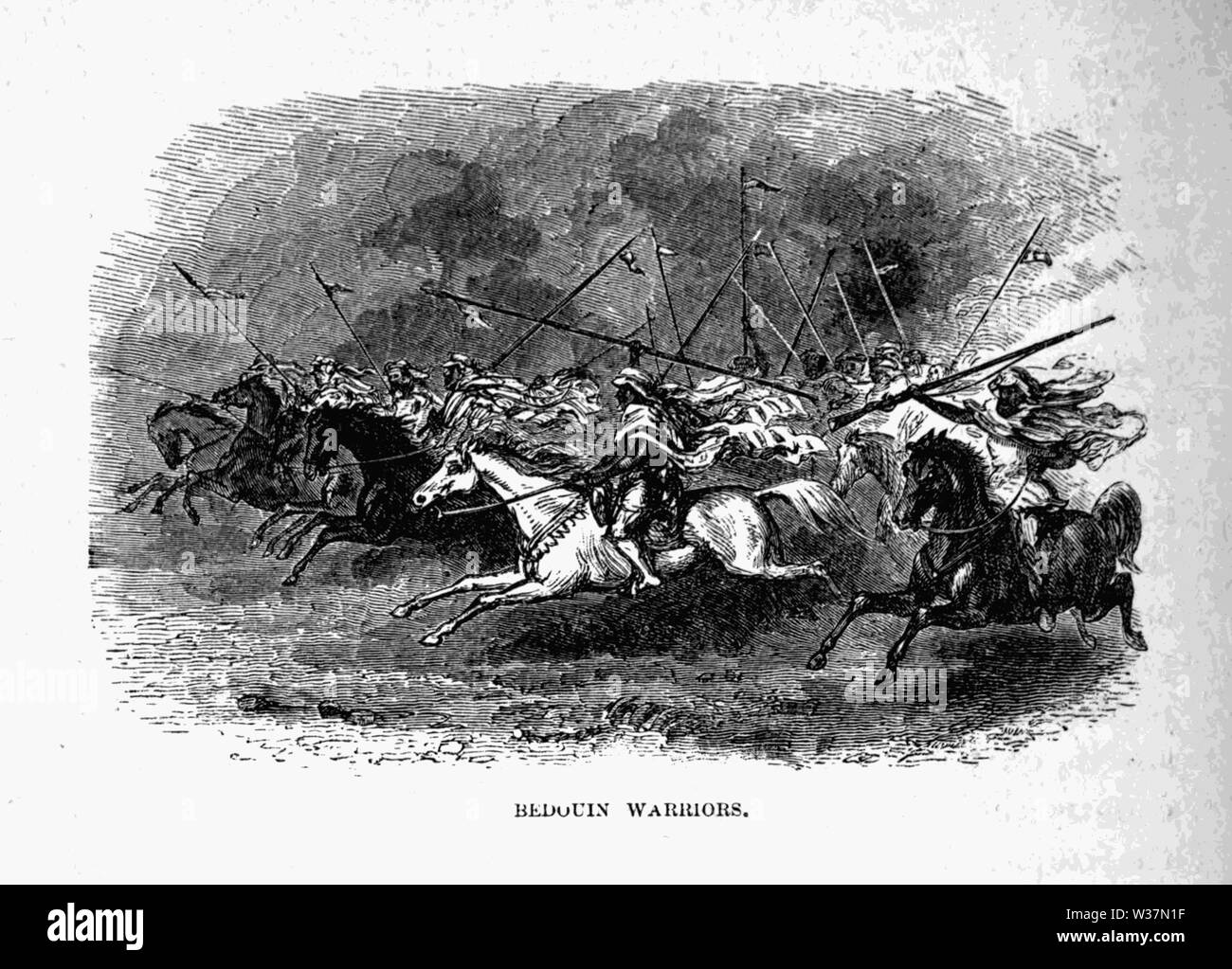 The Tropical World 21 Stock Photo - Alamy