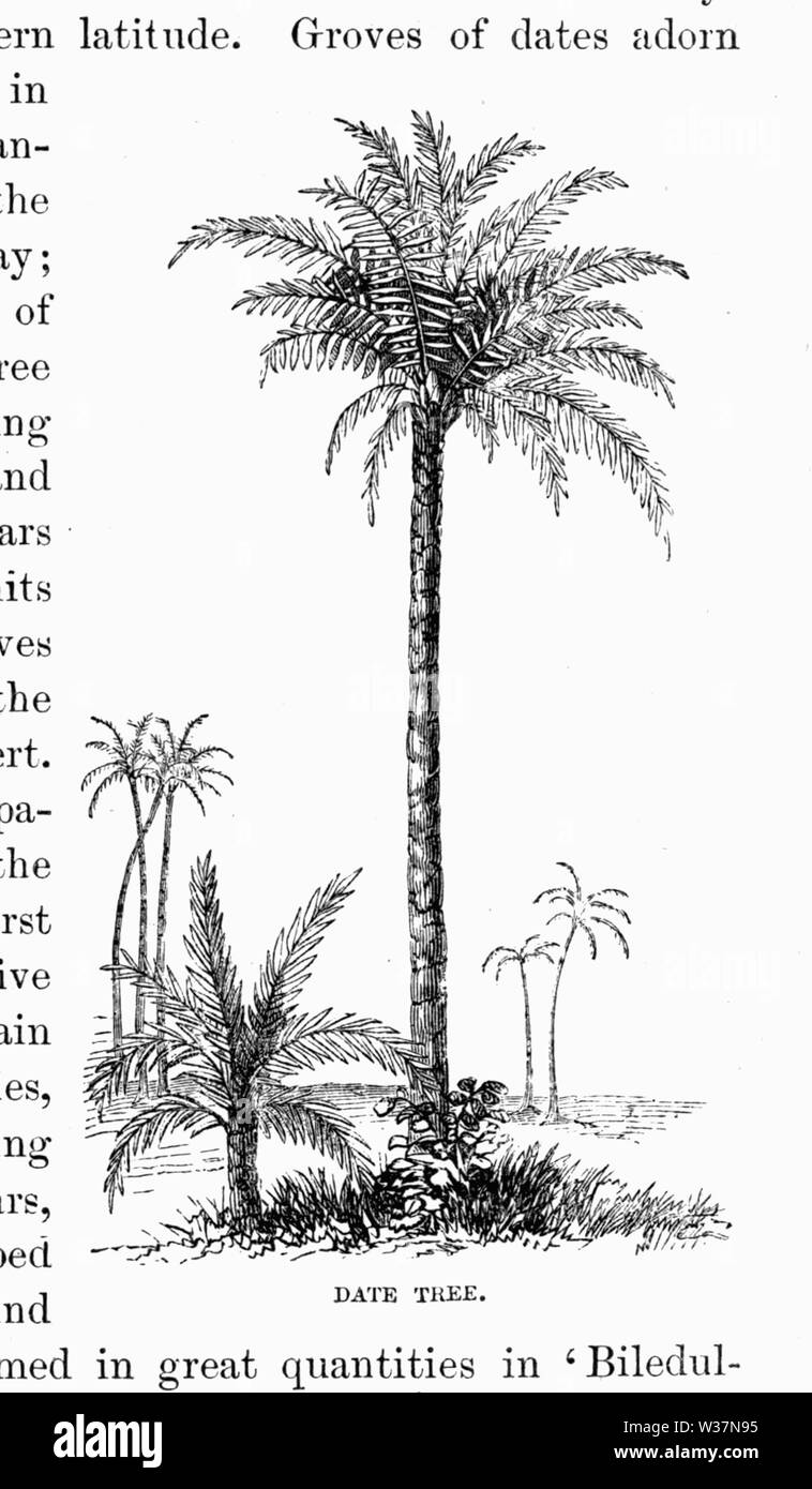 Beauty of world Cut Out Stock Images & Pictures - Alamy