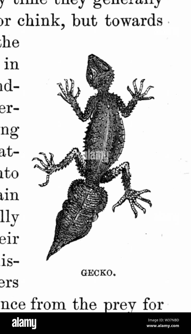 World climate region Black and White Stock Photos & Images - Alamy