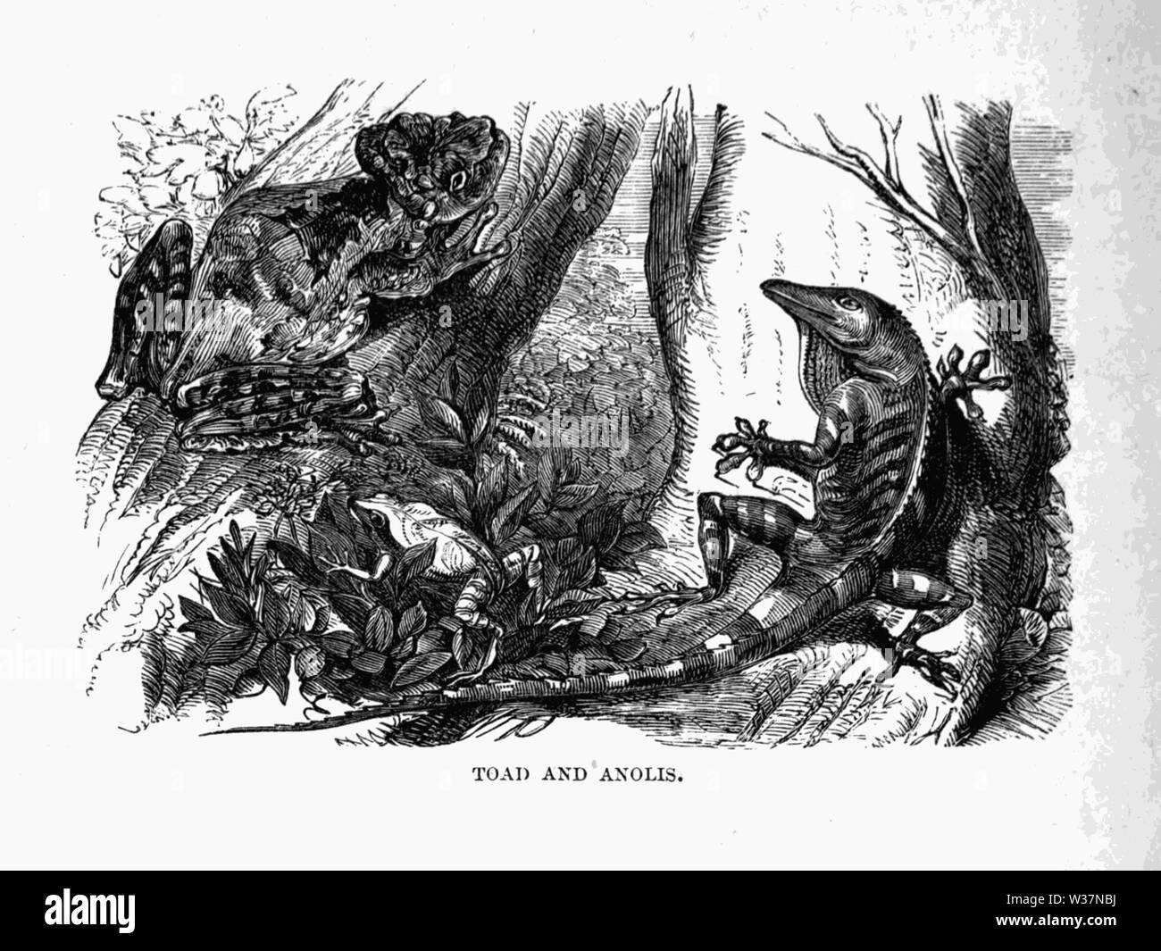 Education themed Black and White Stock Photos & Images - Alamy