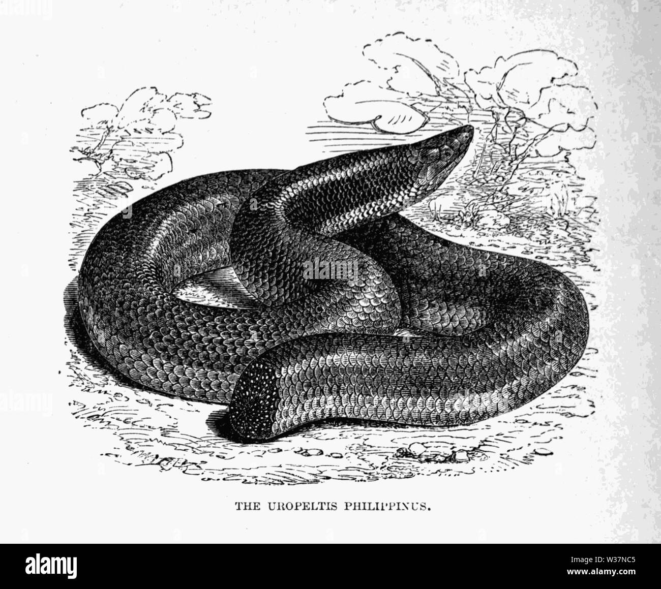 Space world Black and White Stock Photos & Images - Alamy