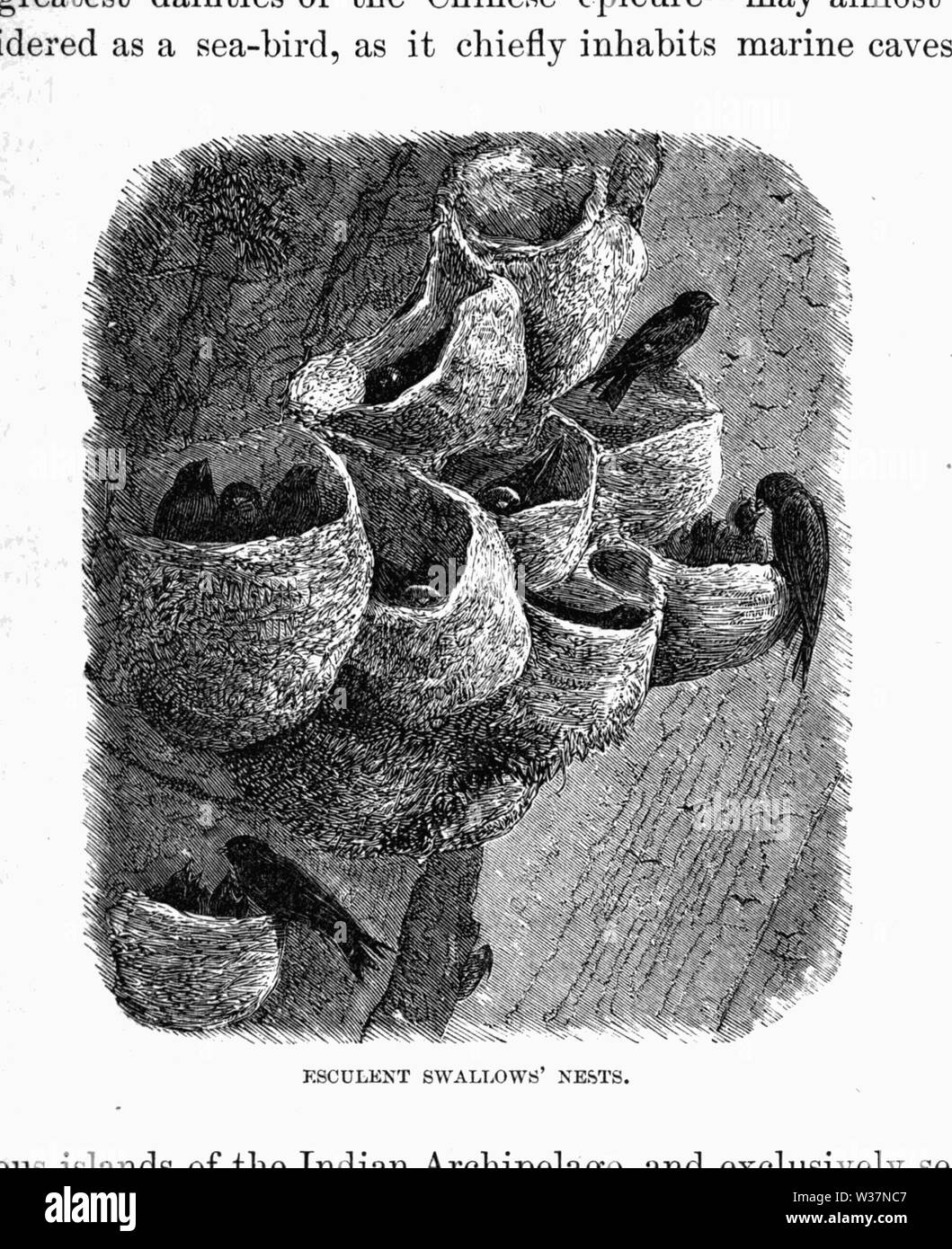 Beauty of the world Black and White Stock Photos & Images - Alamy