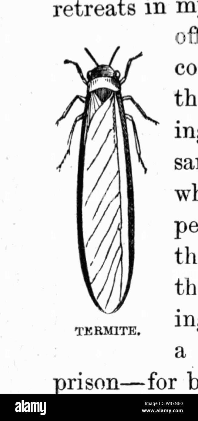 World climate region Black and White Stock Photos & Images - Alamy