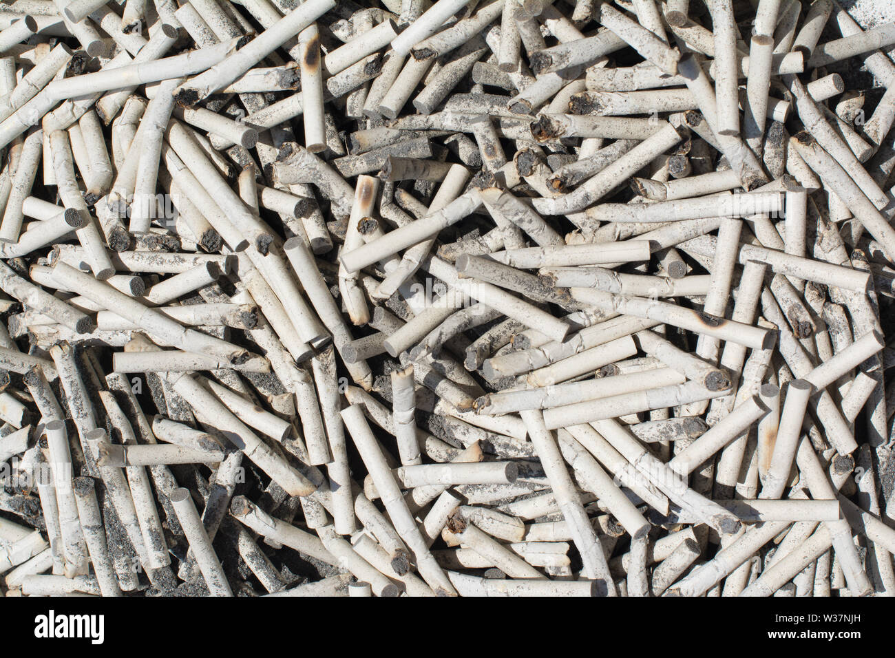 Cigarette butts. A pile of burnt out cigarettes with white cigarette ...