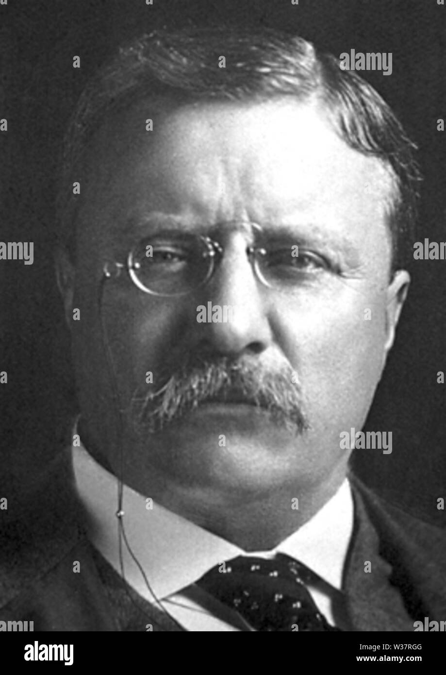 Theodore Roosevelt (Nobel 1906 Stock Photo - Alamy