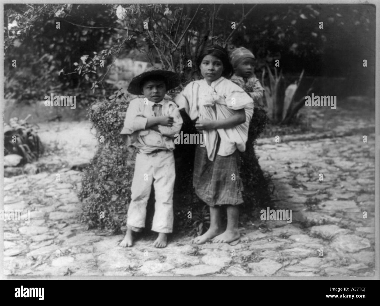 American indian indigenous children hi-res stock photography and images ...