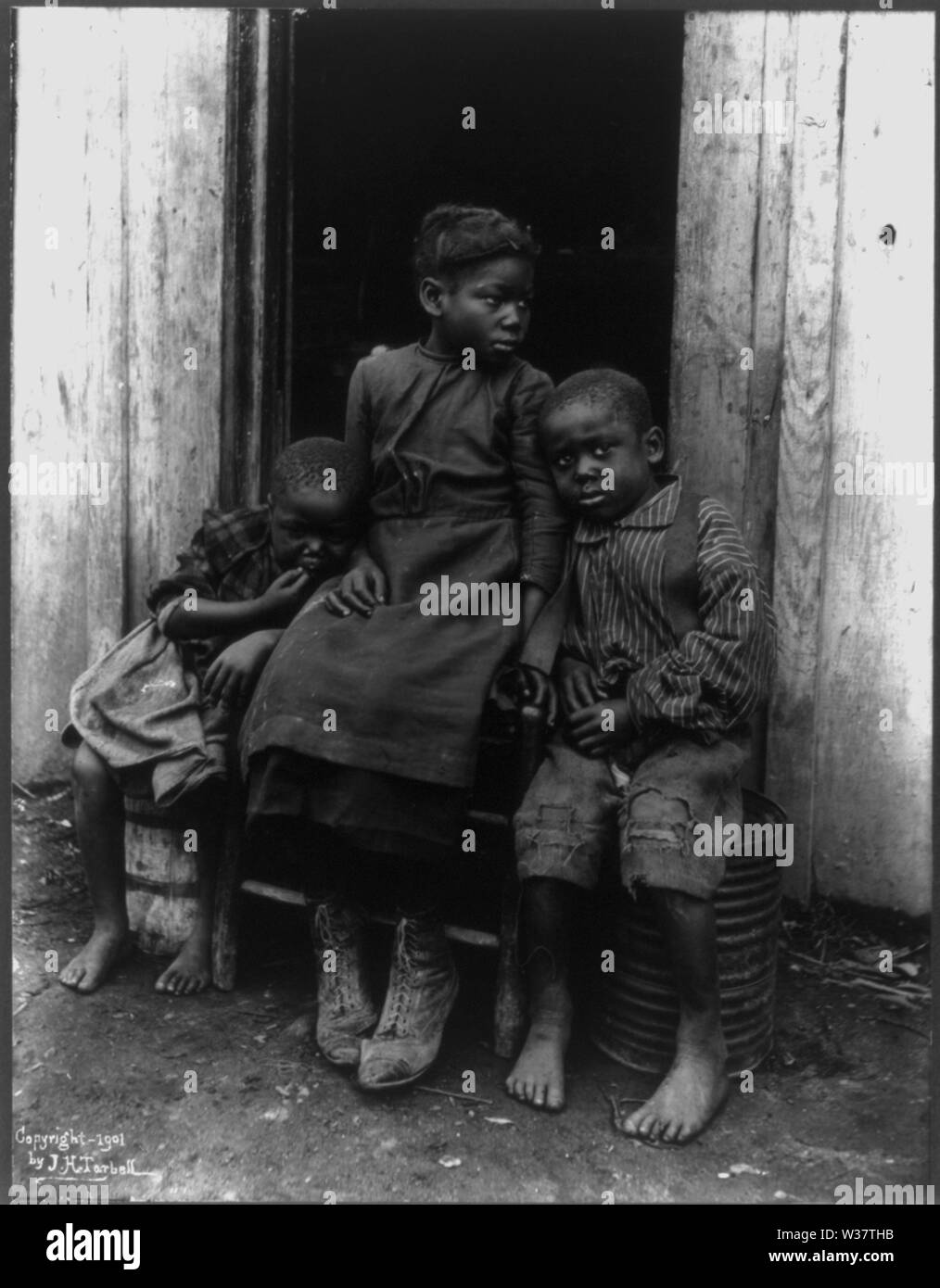 Some raccoons Black and White Stock Photos & Images - Alamy