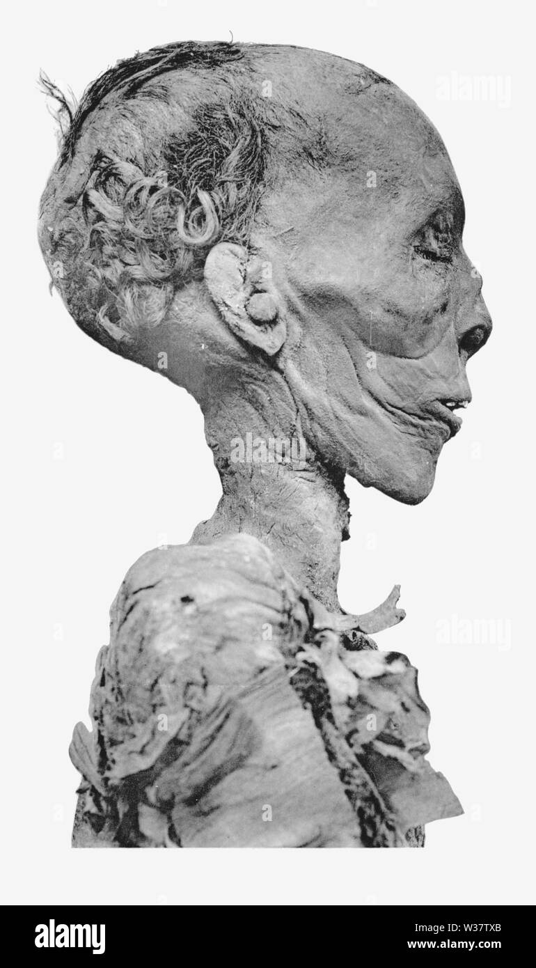 Artifact profile hi-res stock photography and images - Alamy