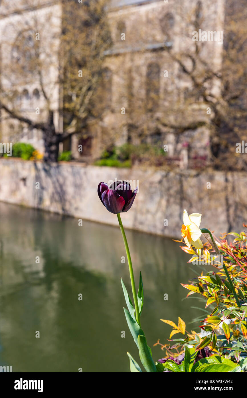 Metz, France, view from Moyen bridge Stock Photo - Alamy