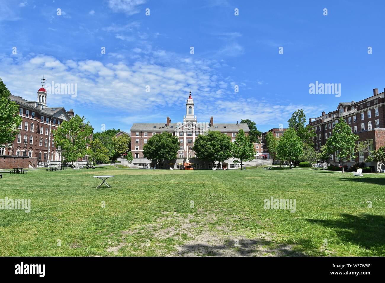 Views around Harvard University featuring Harvard Square, Harvard Yard ...