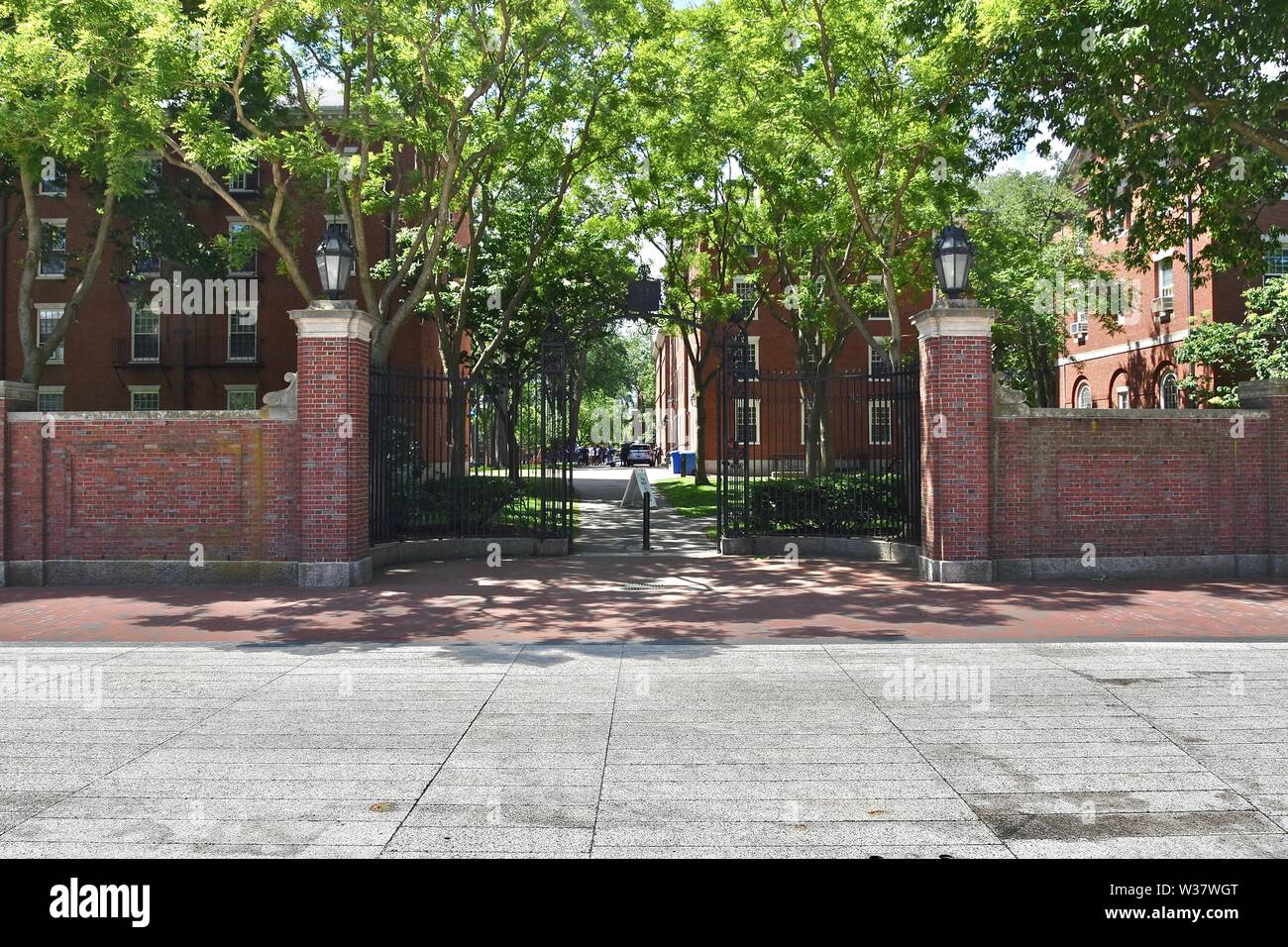 Views around Harvard University featuring Harvard Square, Harvard Yard ...