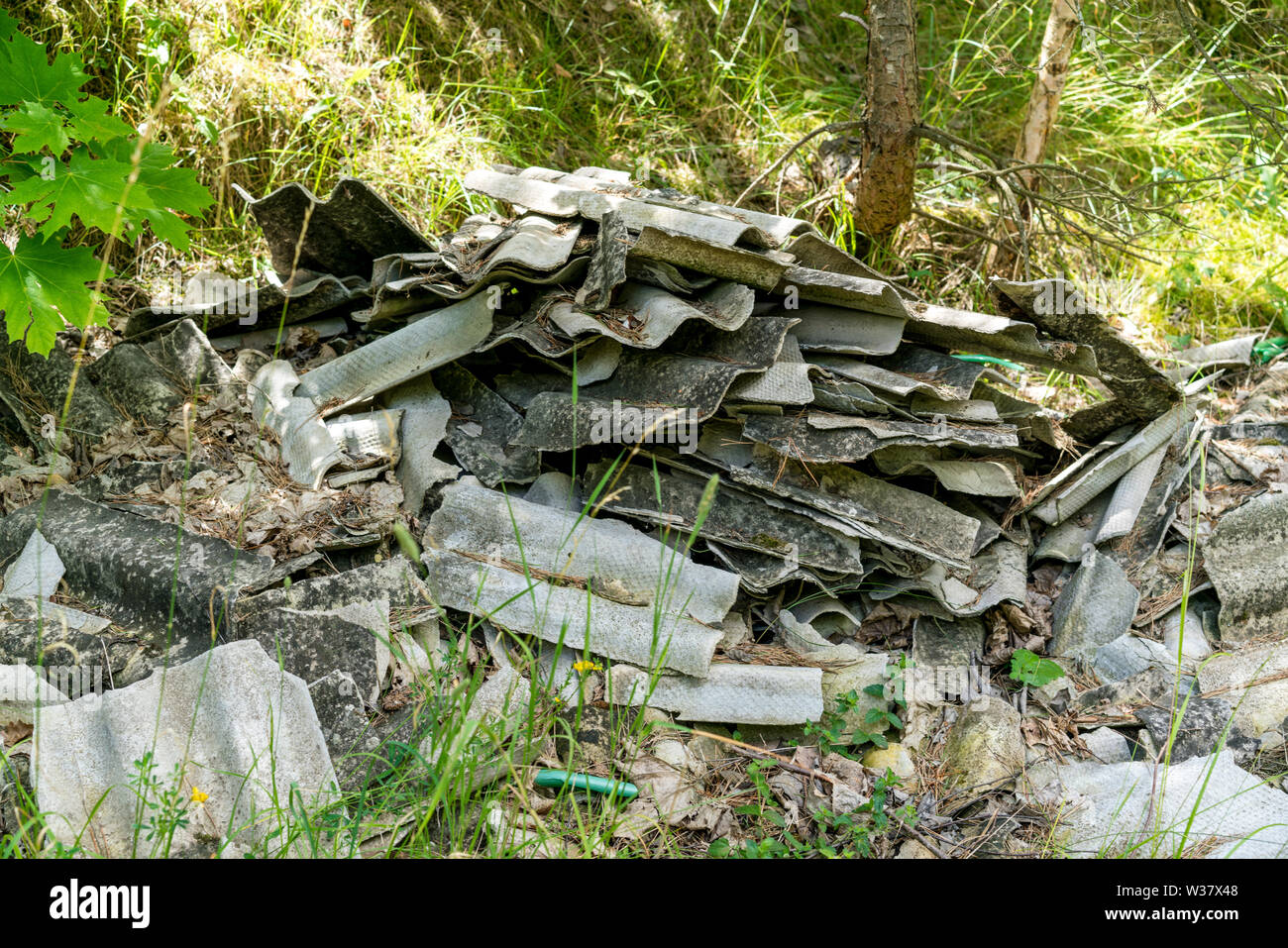 pile of construction waste in forest, Lithuania Stock Photo - Alamy