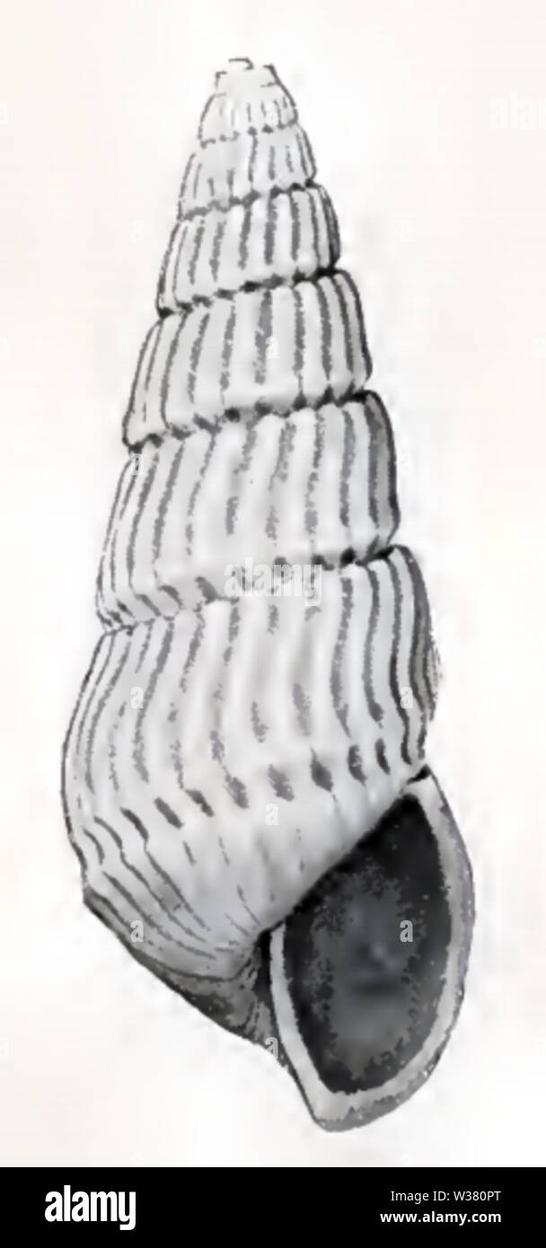 Adaba hi-res stock photography and images - Alamy