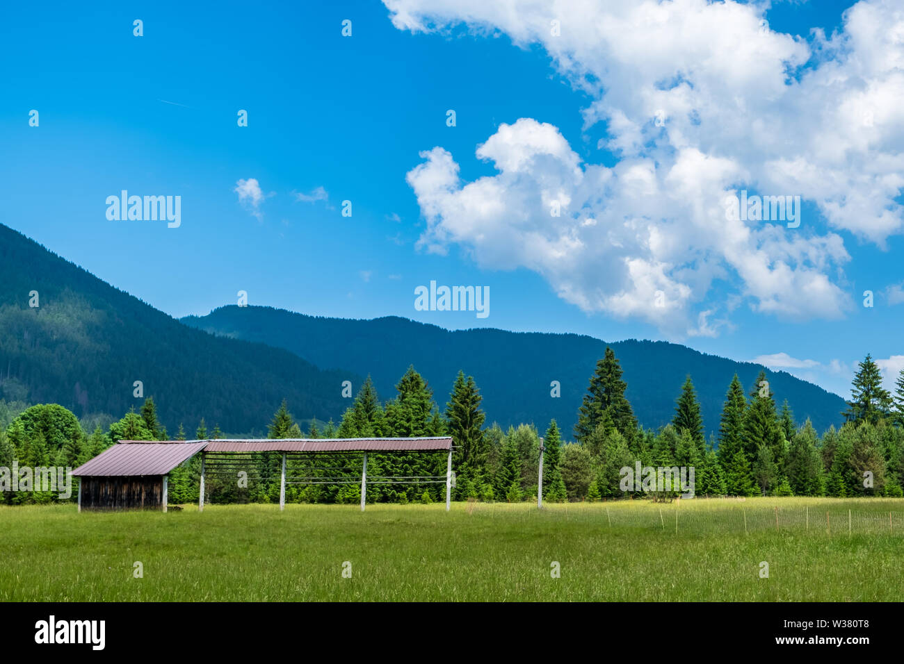 Summer day in an alpine valley of Friuli Venezia-Giulia, Italy Stock ...