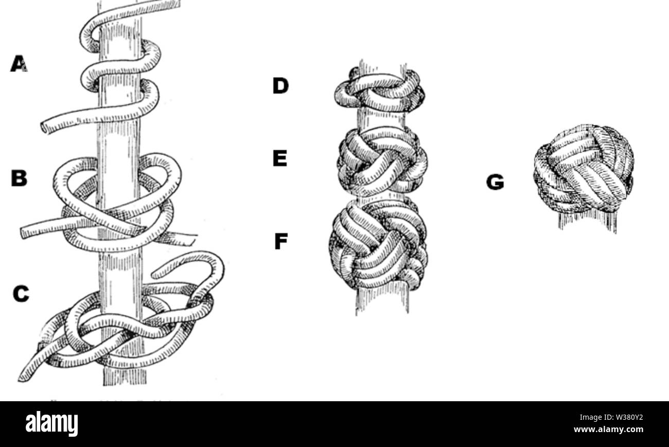 The turks head Cut Out Stock Images & Pictures - Alamy