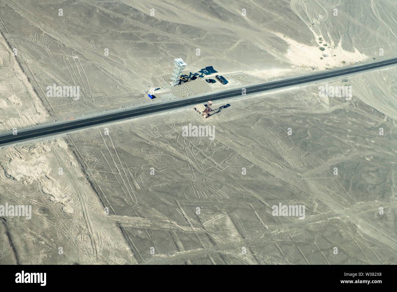 Lizard, Tree and Hands Images at Nazca Lines in Peru Stock Photo - Alamy