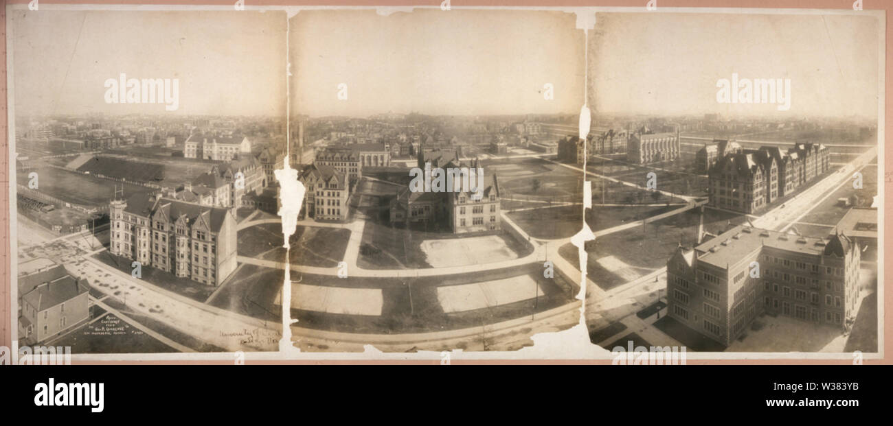 Chicago birds hi-res stock photography and images - Alamy