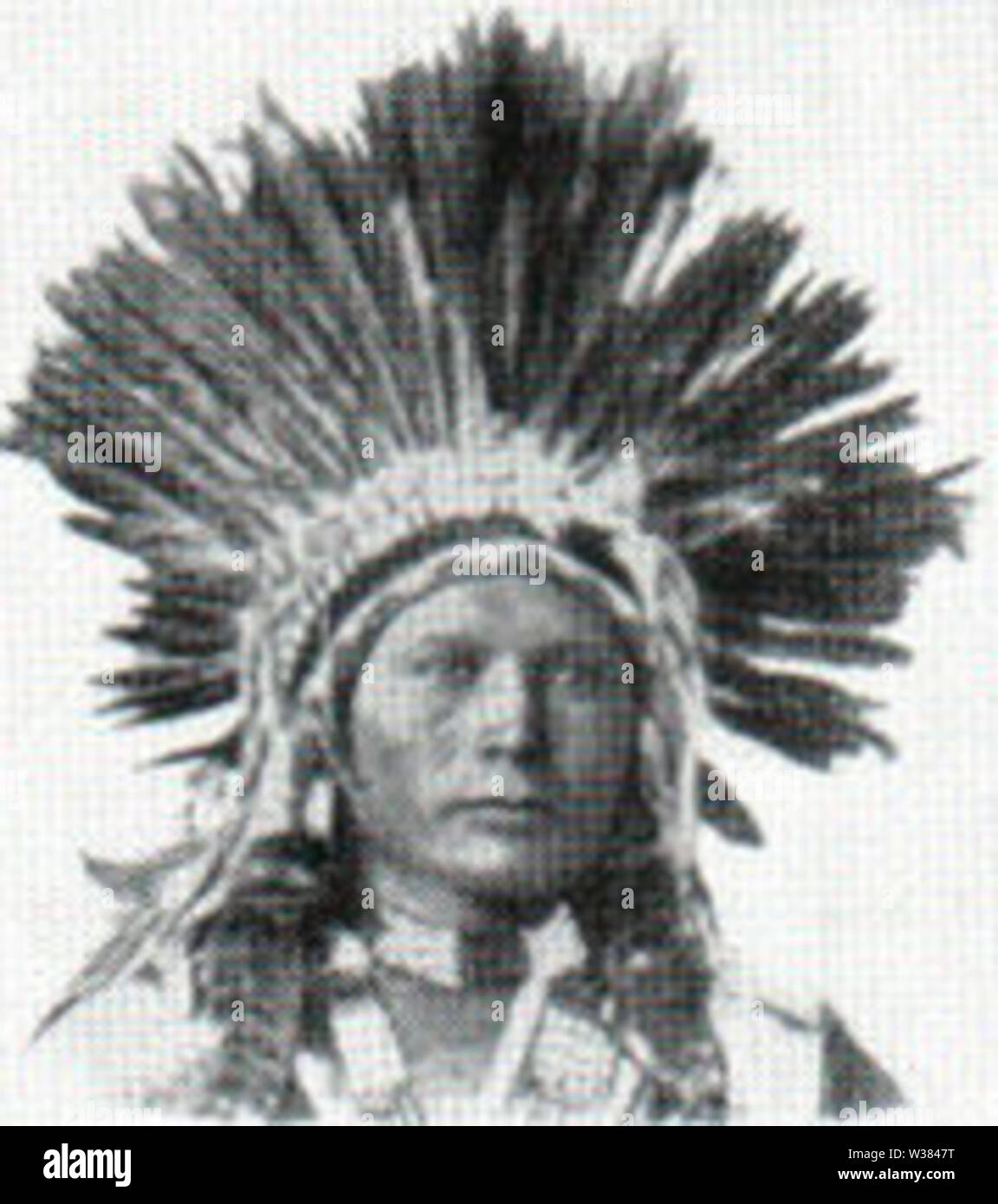 Ute American Indian Mongoloid Stock Photo - Alamy