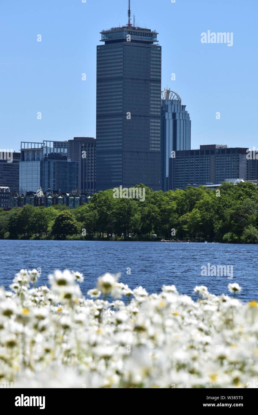The Boston Skyline as seen from the Charles River, Cambridge ...