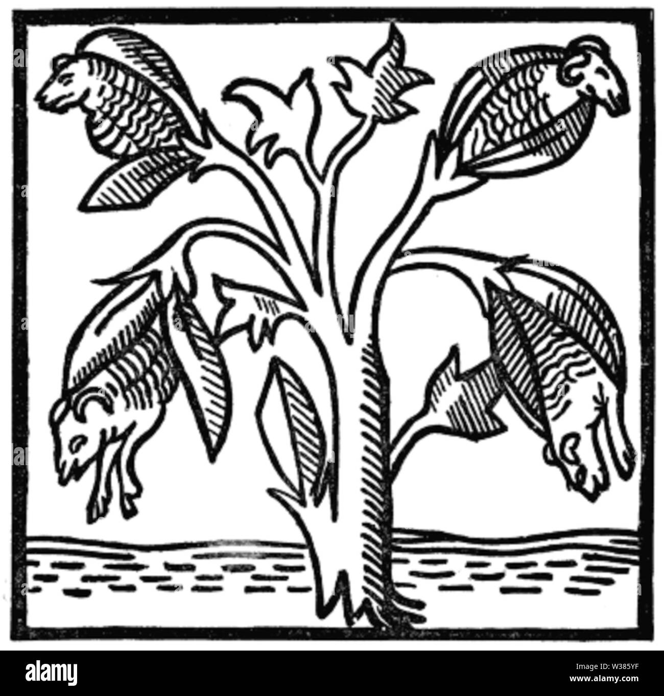 Scythia hi-res stock photography and images - Alamy