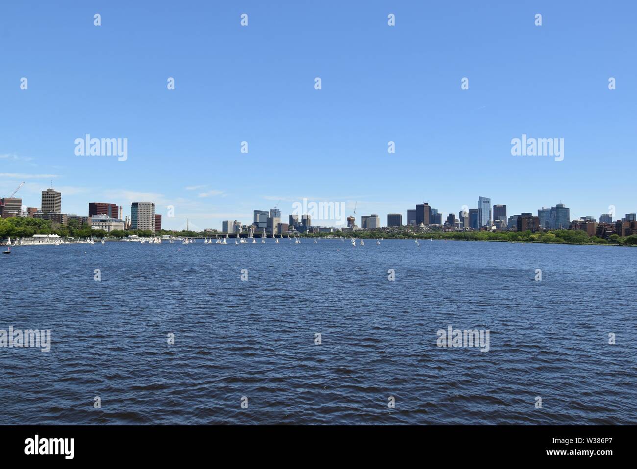 Sailboats sailing in the Charles River Basin with the Boston skyline ...
