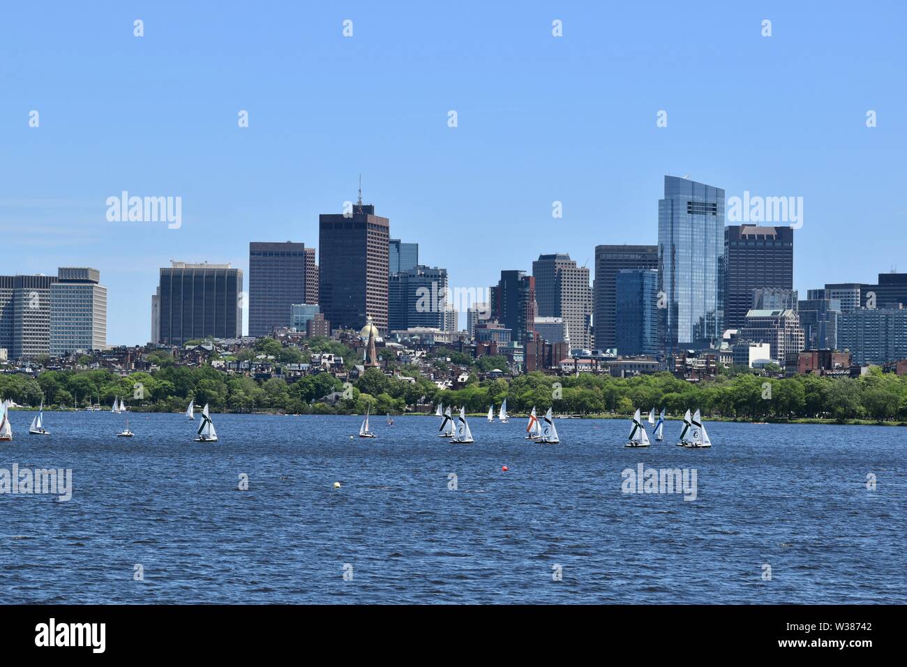 Sailboats sailing in the Charles River Basin with the Boston skyline ...