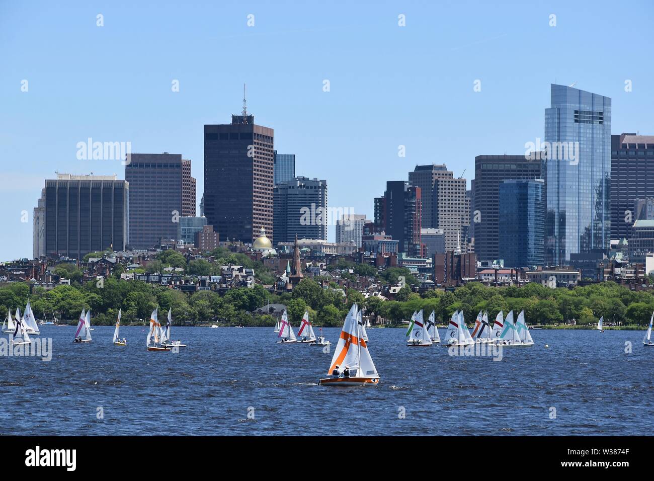 Sailboats sailing in the Charles River Basin with the Boston skyline ...