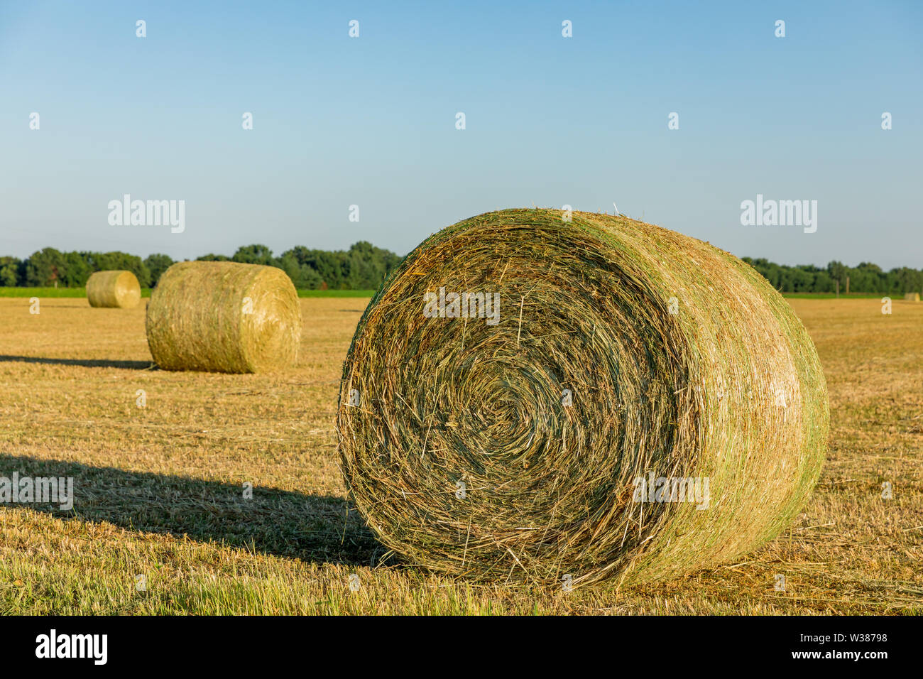Large round hay bales in hay field at sunset Stock Photo - Alamy