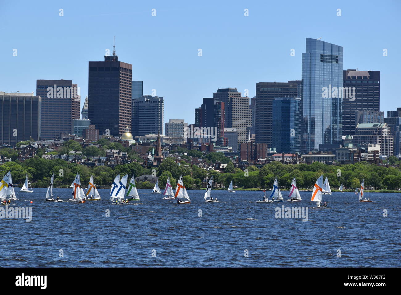 Sailboats sailing in the Charles River Basin with the Boston skyline ...